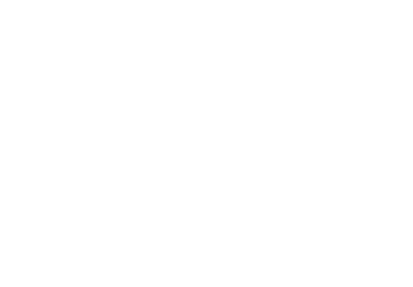 Aerial Cargo Transport - A-NSE